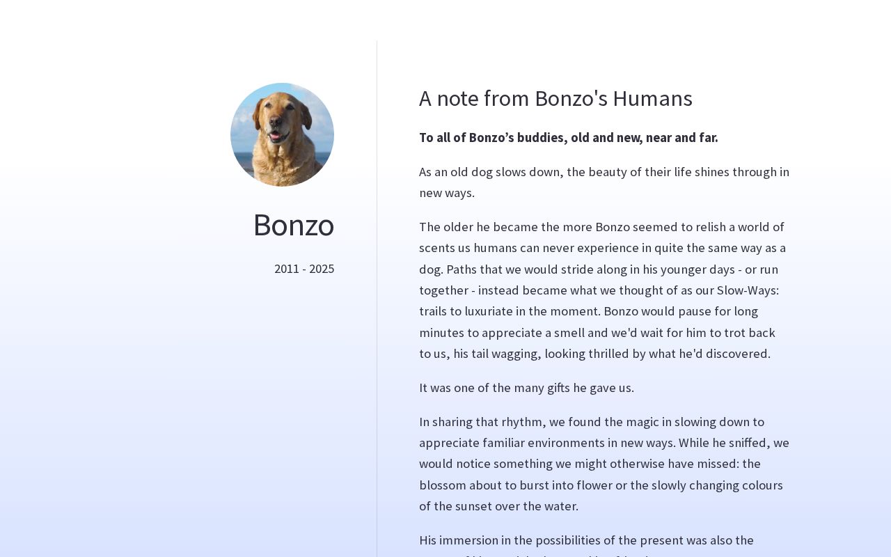 Bonzo, 2011 - 2025
